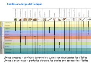 La importancia de los fósiles – BIOLOCUS