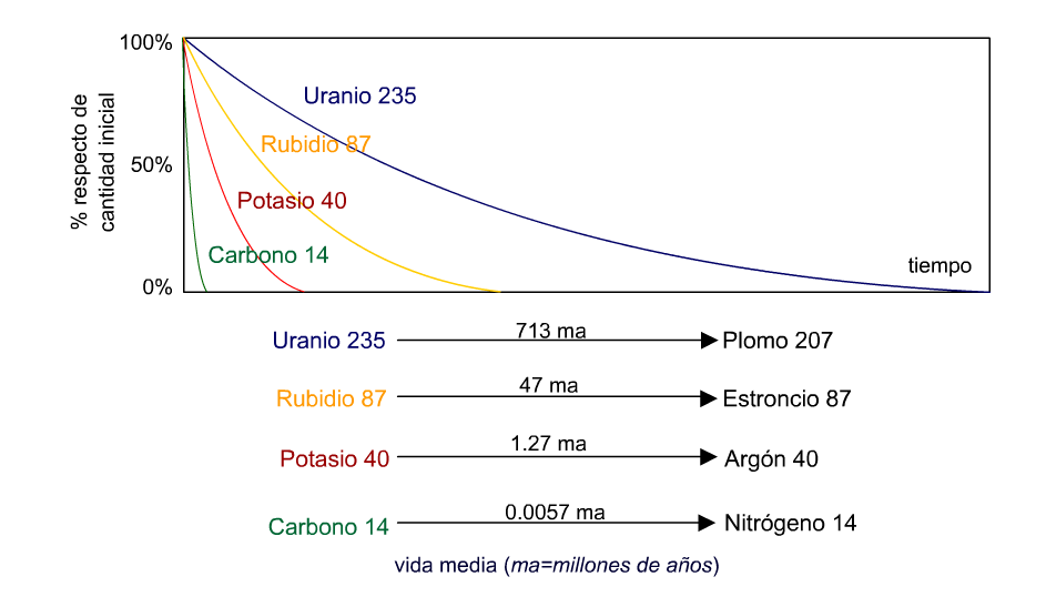Datación absoluta – BIOLOCUS